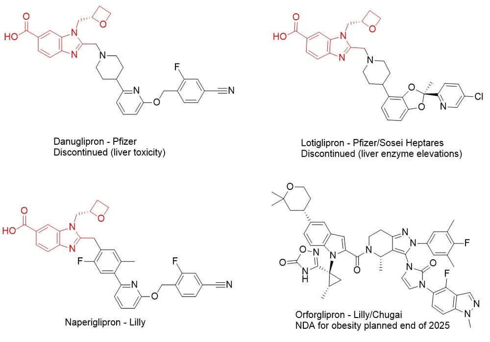 Lilly Terminates Two Naperiglipron Phase 2 Trials, Obesity Study Continues